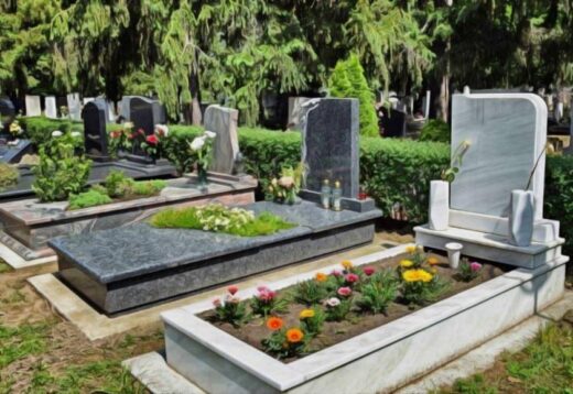 Tombe en pleine terre : définition, avantages et prix | 2025